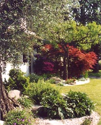 Benvenuti nei giardini e piante orientali - Guggia Garden Venezia ...